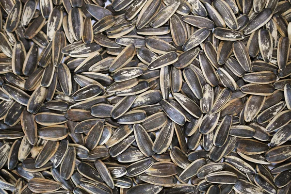 Sunflower seed shells Stock Photos, Royalty Free Sunflower seed shells ...