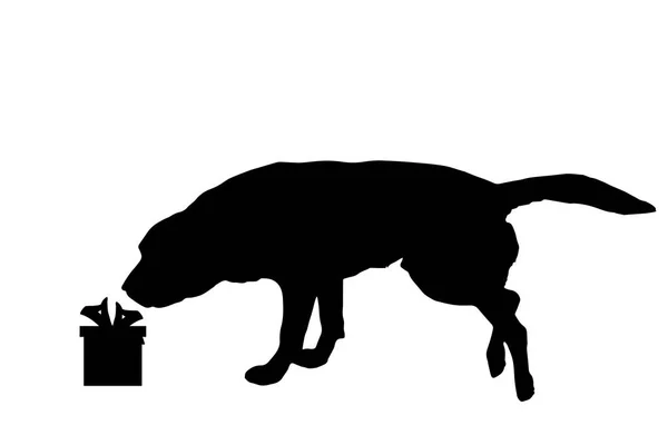 100,000 Dog digging Vector Images | Depositphotos