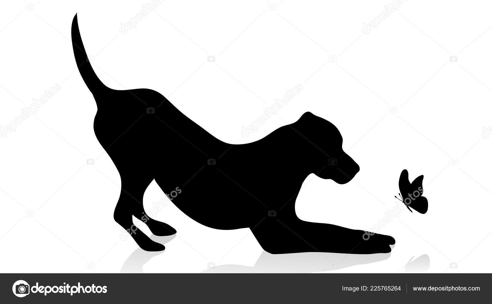 Silueta De Cachorro Jugando Fondos De Pantalla Perro Varón Madre