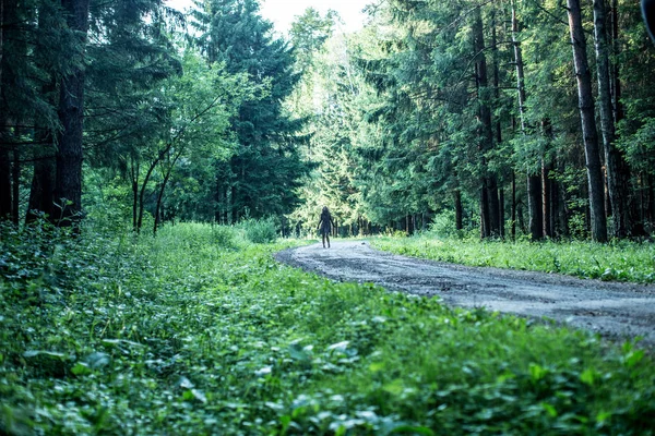 Zombie apocalypse Stock Photos, Royalty Free Zombie apocalypse Images ...