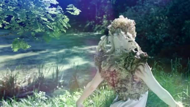 17,748 Magisk skog Videos, Royalty-free Stock Magisk skog Footage ...