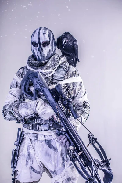 Arctische jager Stock Photos, Royalty Free Arctische jager Images ...