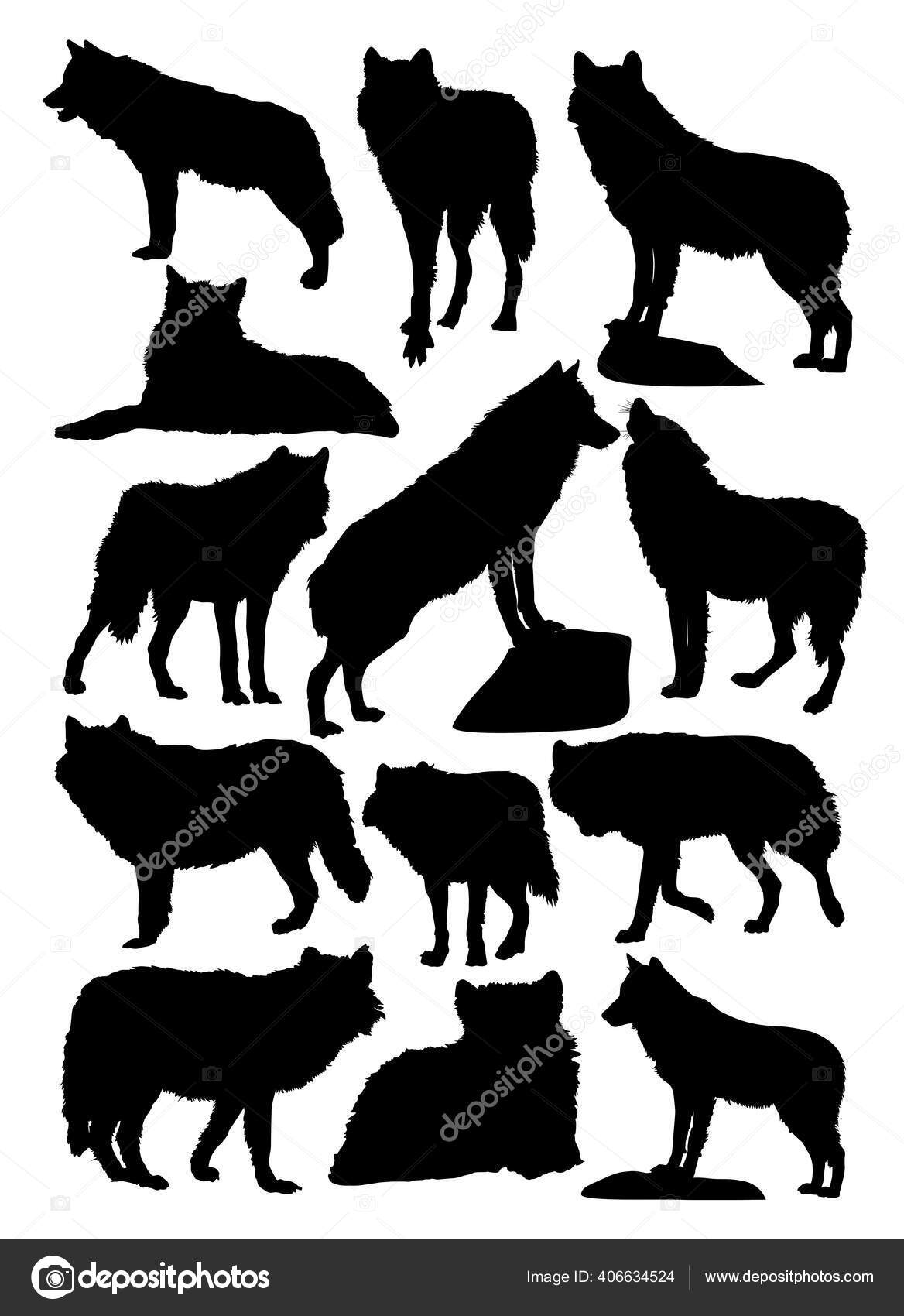 Conjunto Siluetas Lobos Diferentes Poses Vector Ilustración Vector de ...