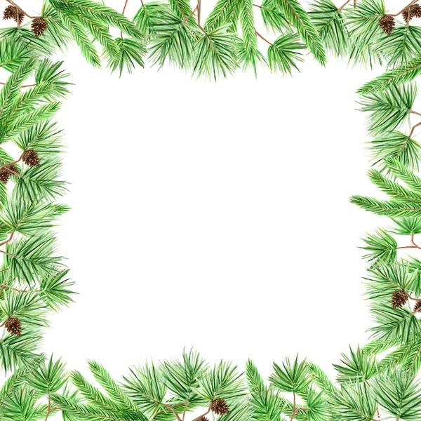 Christmas pine border Stock Photos, Royalty Free Christmas pine border ...