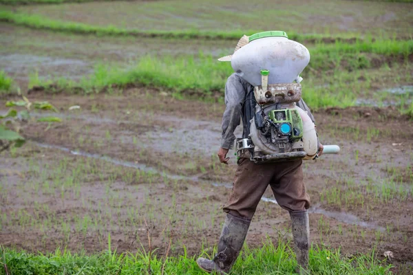 Philippines farmer Stock Photos, Royalty Free Philippines farmer Images ...