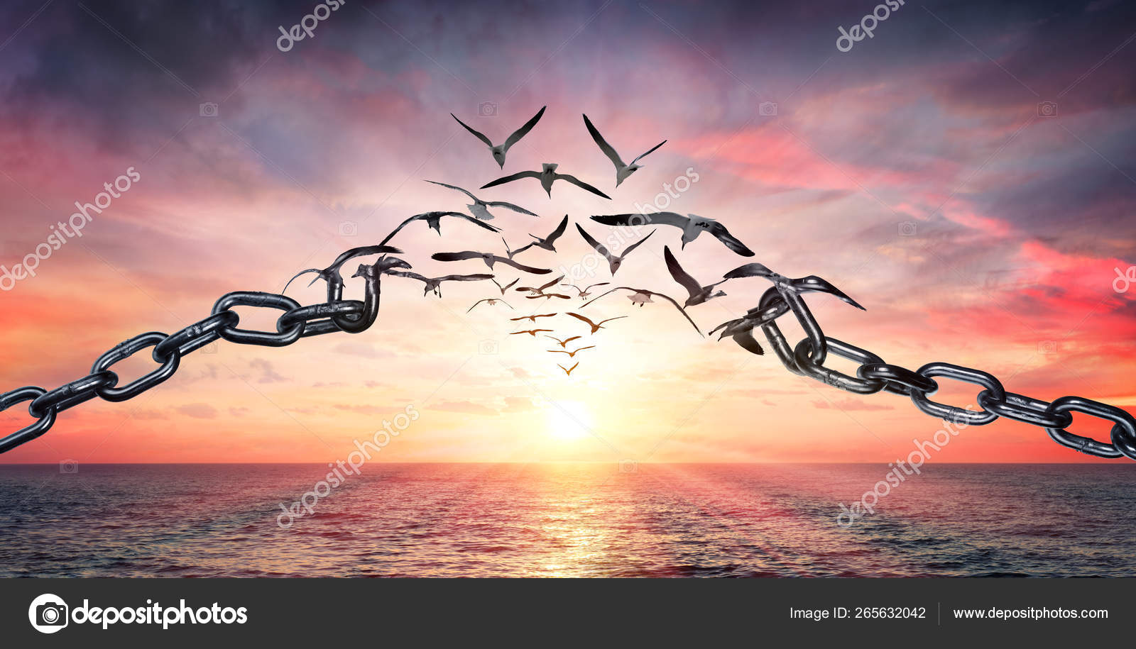 Wings Freedom Birds Flying Broken Chains Charge Concept Stock Photo by ...