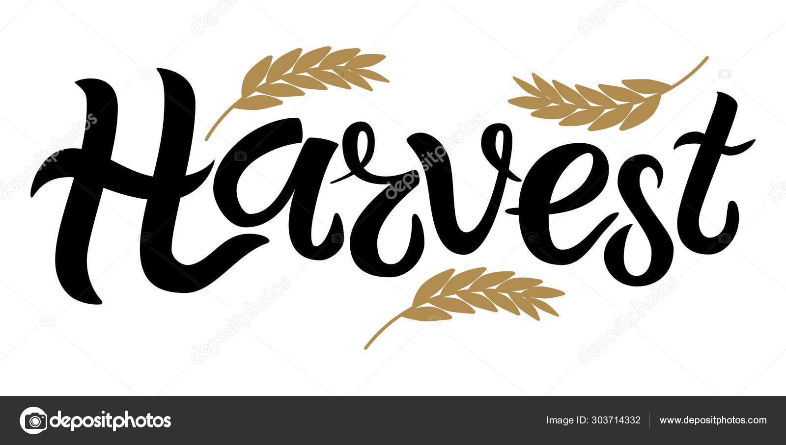 Vector illustration of Harvest text — Stock Vector © julianeroznak ...