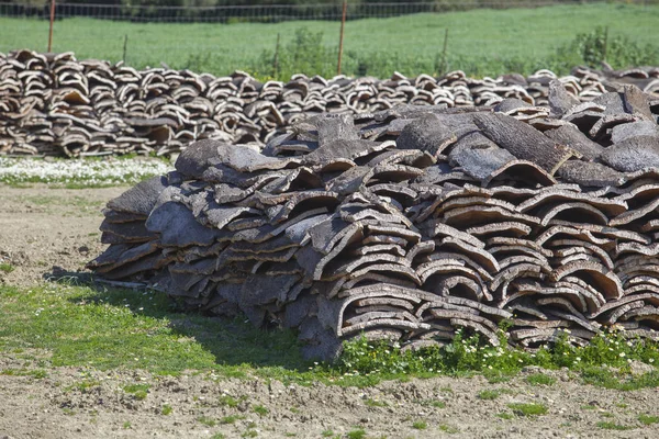 Suberin Stock Photos, Royalty Free Suberin Images | Depositphotos