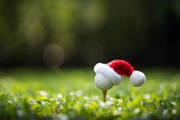 Christmas golf Stock Photos, Royalty Free Christmas golf Images ...