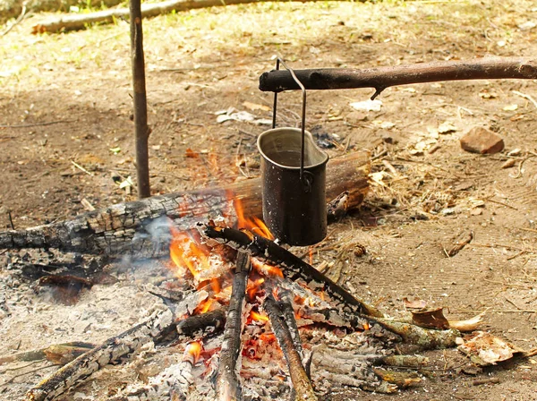 Aboriginal people cooking Stock Photos, Royalty Free Aboriginal people ...