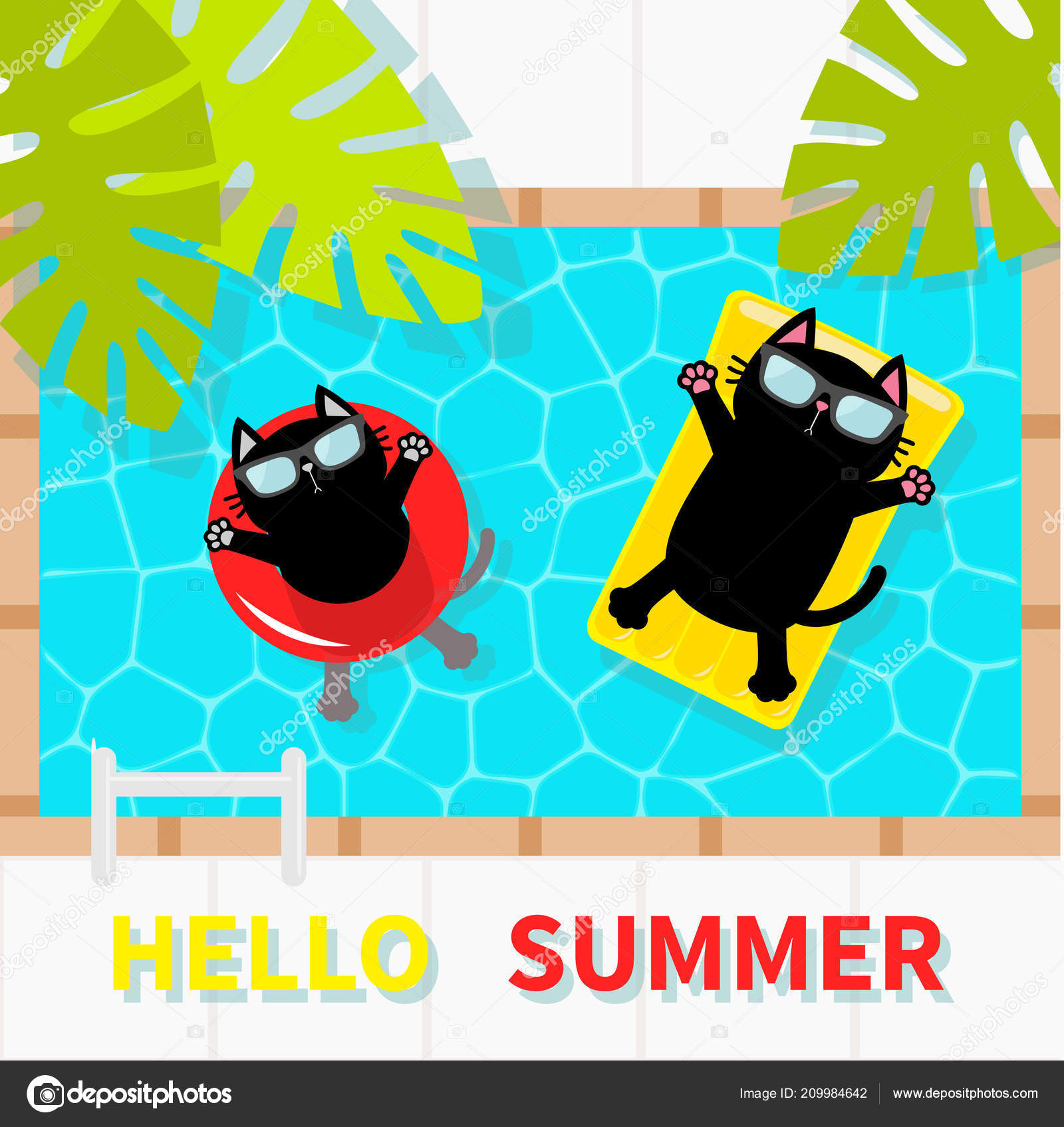 Hello Summer Swimming Pool Black Cat Floating Pool Float Water ⬇ Vector ...