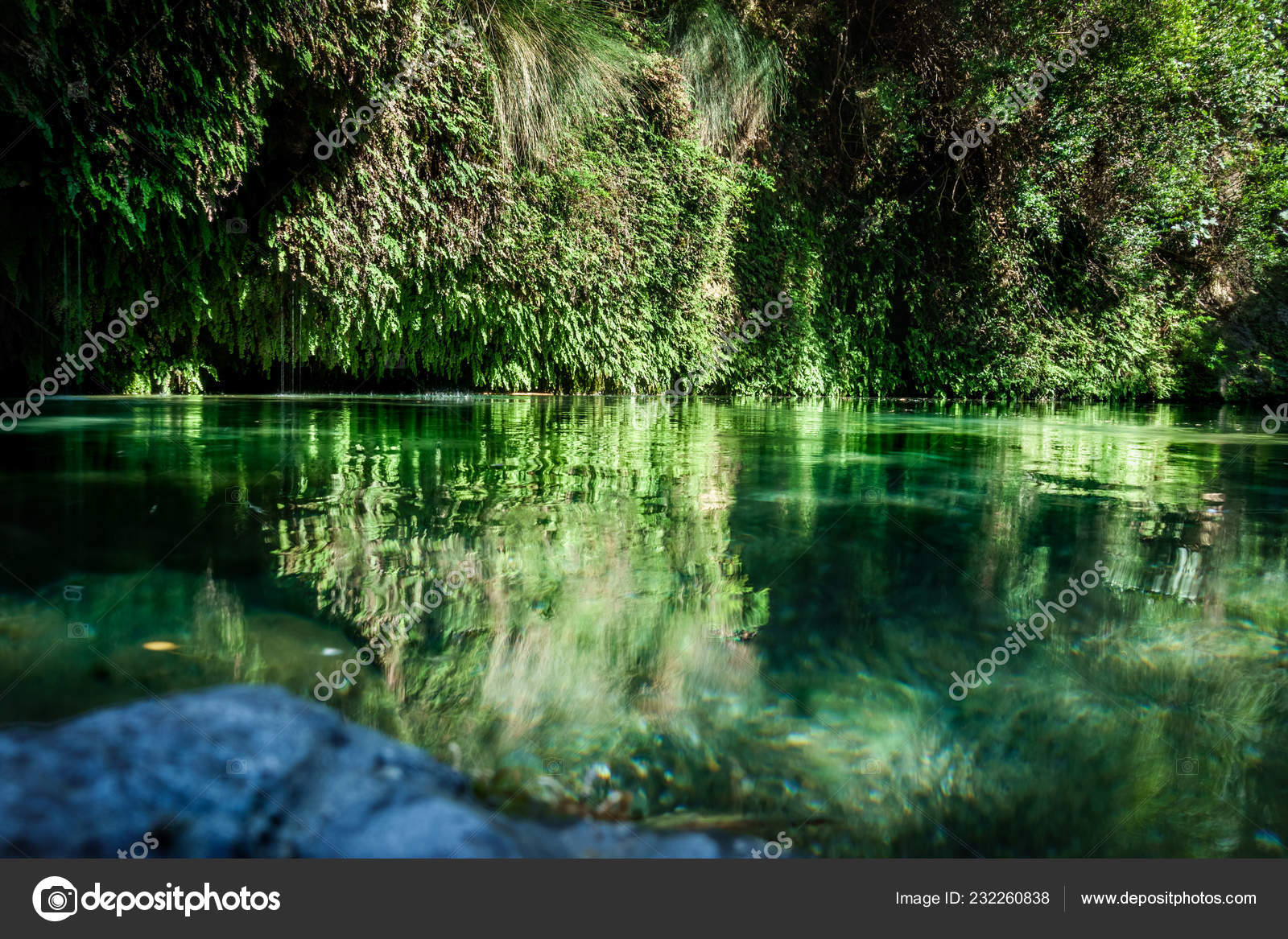 Stream Water Rainforest Crete Greece Stock Photo by ©Bruno135 232260838