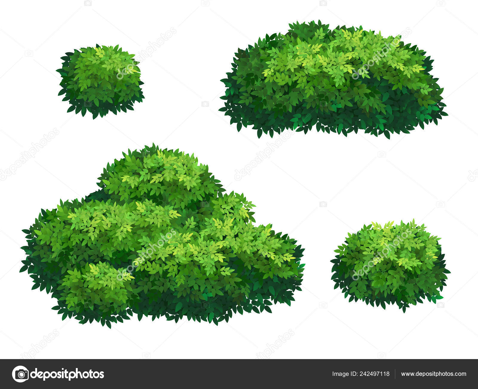 Shrub Shapes