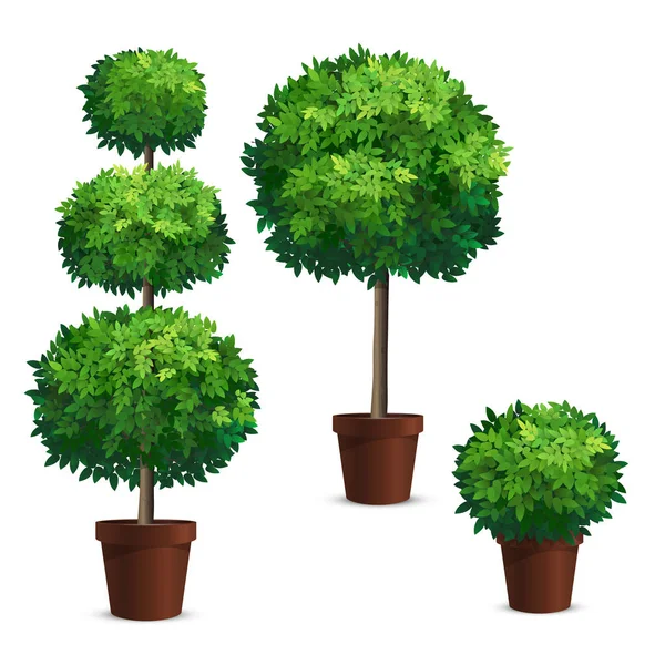 100,000 Topiary Vector Images | Depositphotos