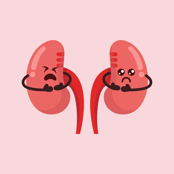 23 Kidney sticker drawing cartoon Vector Images | Depositphotos