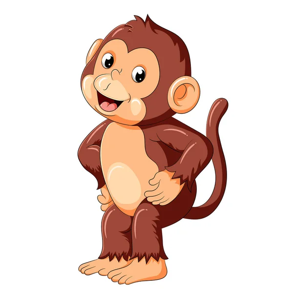 Happy monkey vectors Vector Art Stock Images | Depositphotos