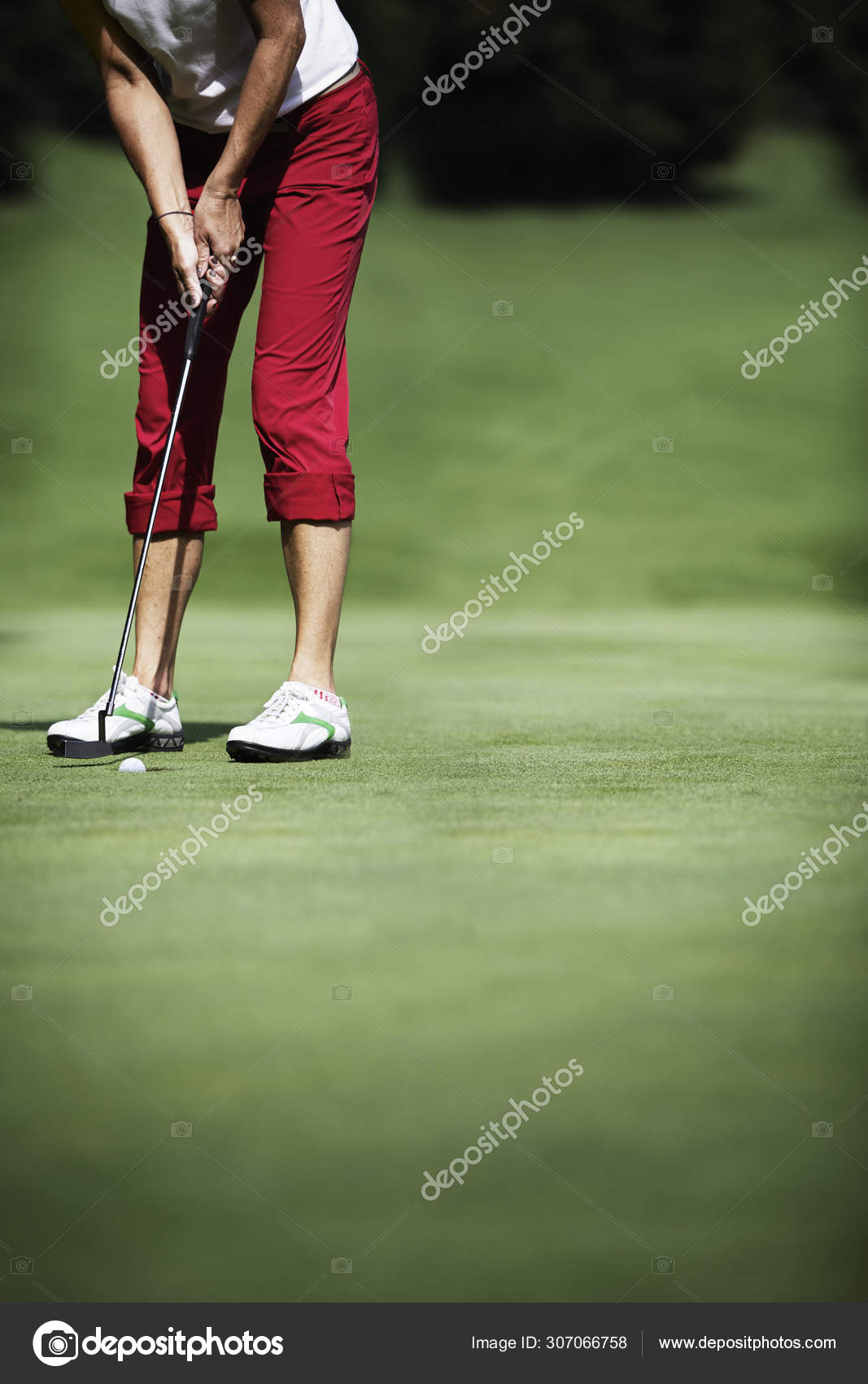 Female Golf Player Putting Ball Just Dropping Hole Plenty Copyspace ...