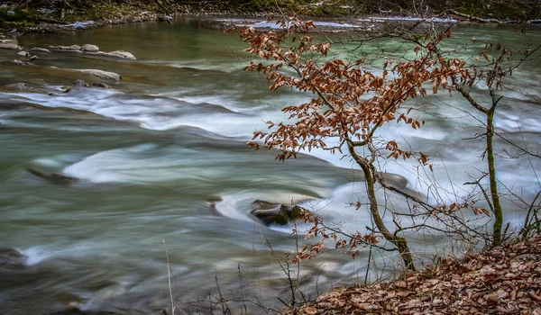 Rzeka lech Stock Photos, Royalty Free Rzeka lech Images | Depositphotos