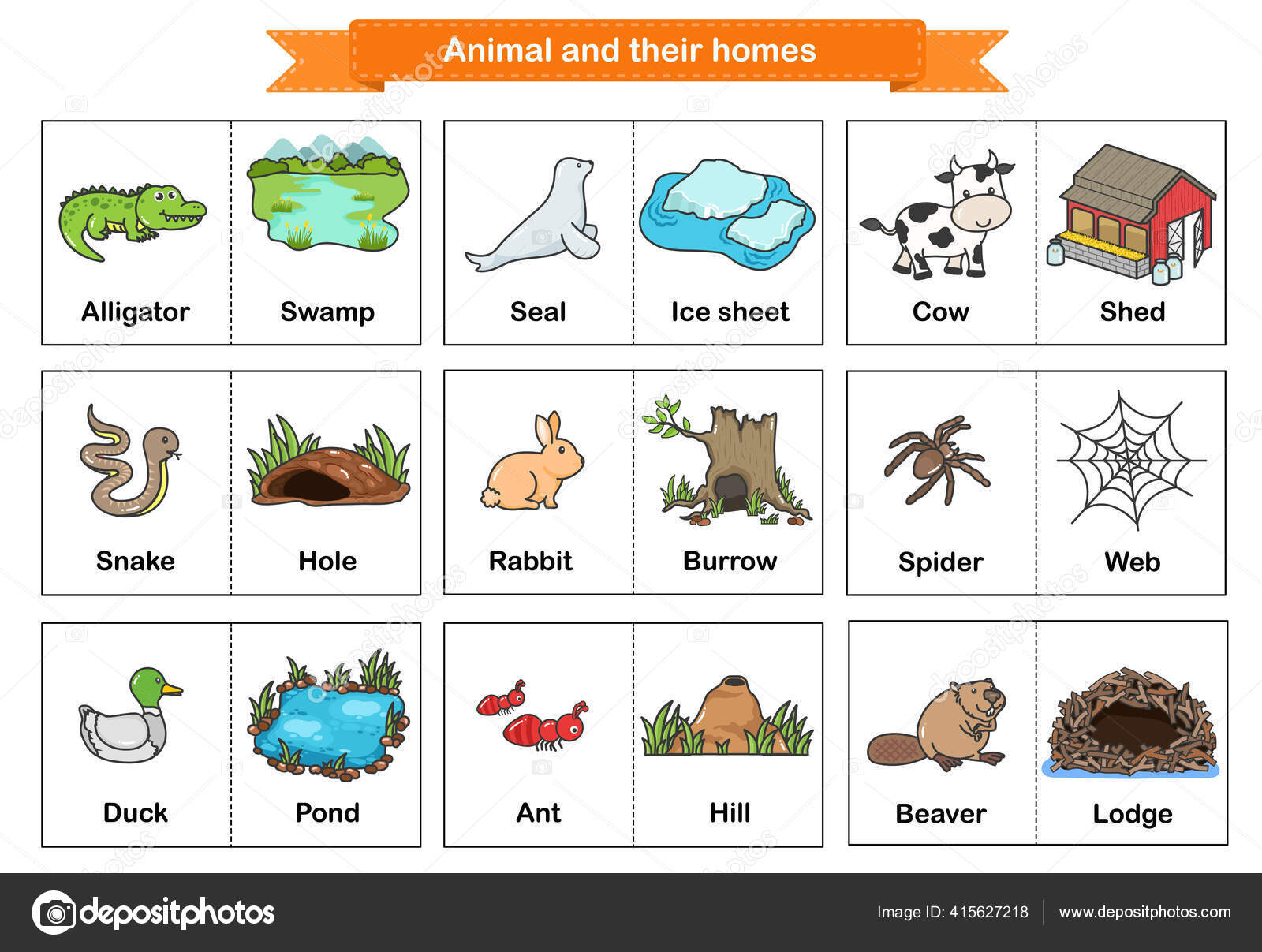 Animal Homes Flash Cards Cartão Flash Para Impressão Ilustrando ...