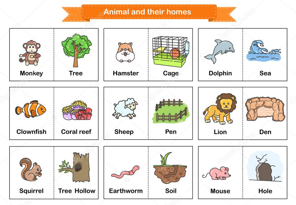 Animal y sus casas Flash Cards. Tarjeta flash imprimible que ilustra ...