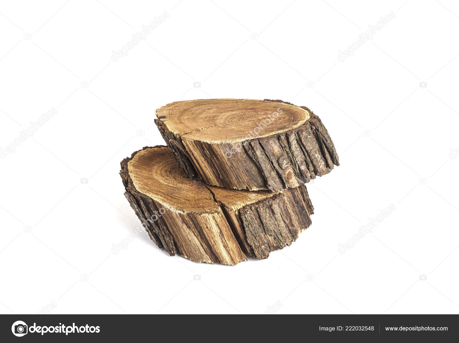 Felled tree slice. Wood texture. Isolated on white Stock Photo by ...