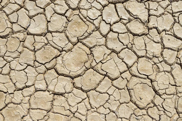 Cracked Desert Ground Texture
