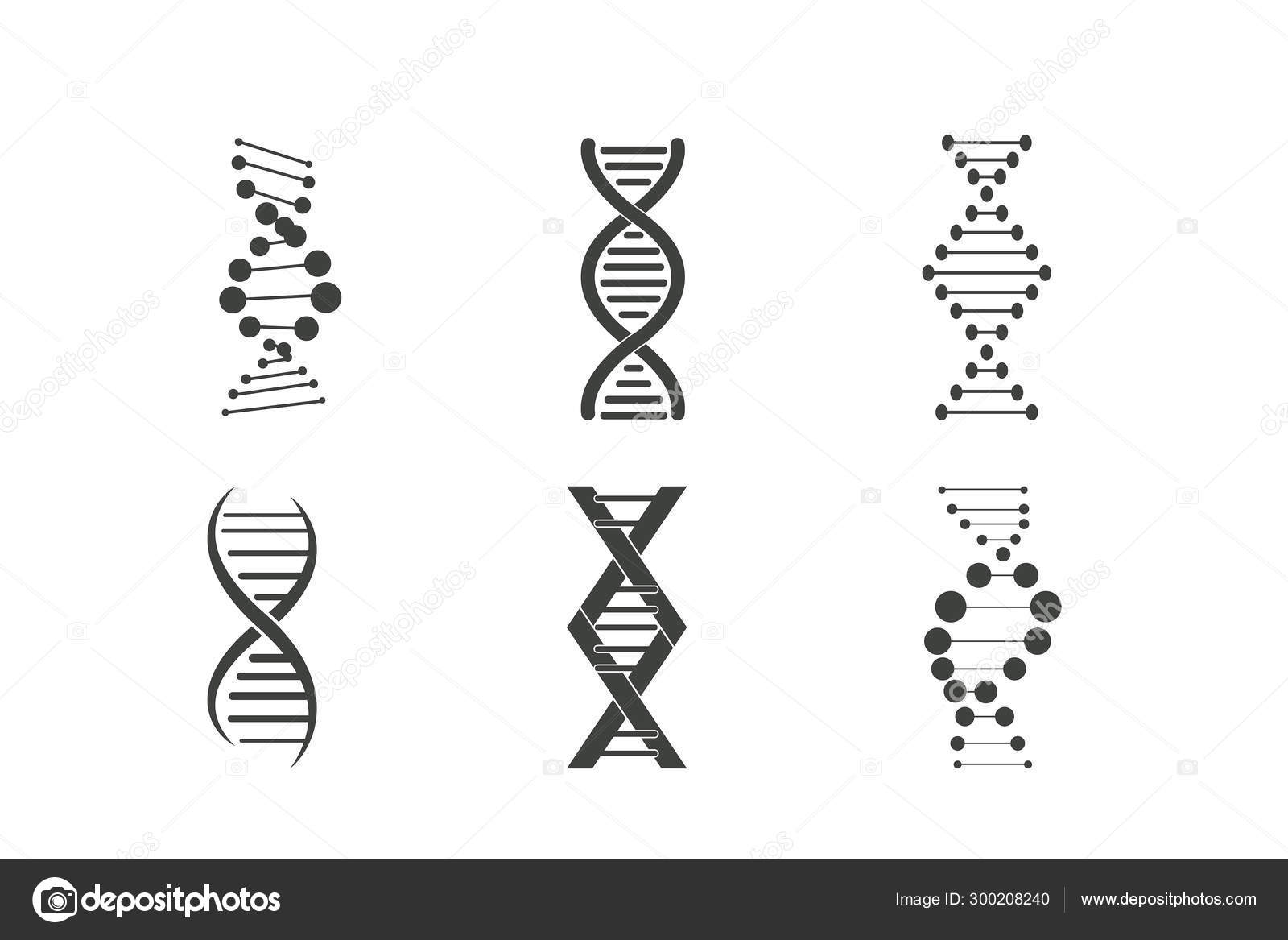 Dna Vector Illustrator Free Download