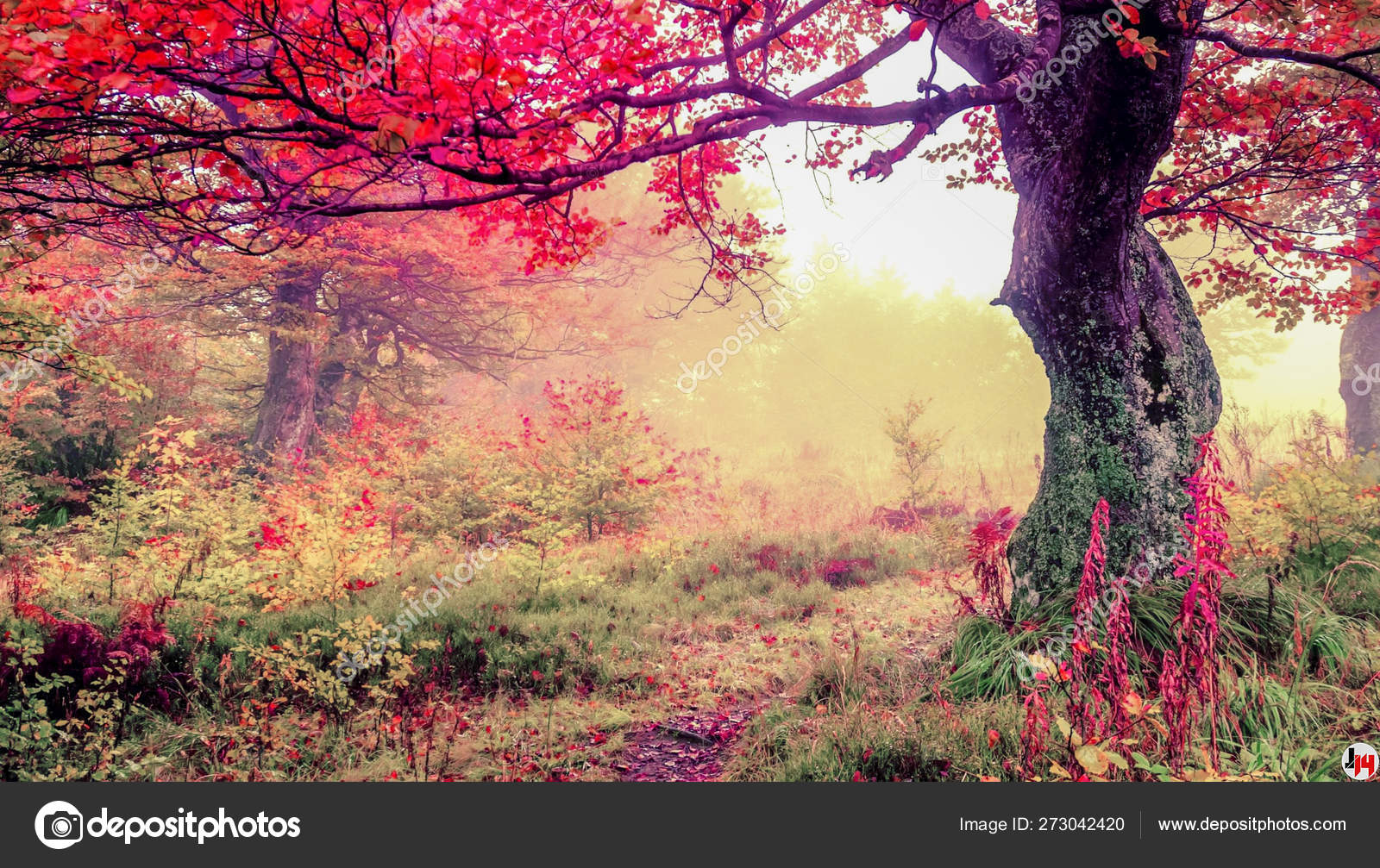 Bosque de fantasía con flores rosadas — Foto de stock #273042420 © call38