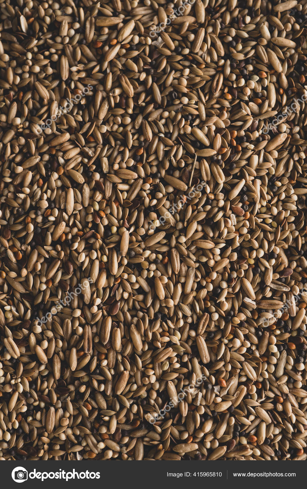 Mixed Bird Seeds Macro Close Selective Focus Stock Photo by ...