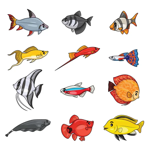 38 Molly fish Vector Images | Depositphotos