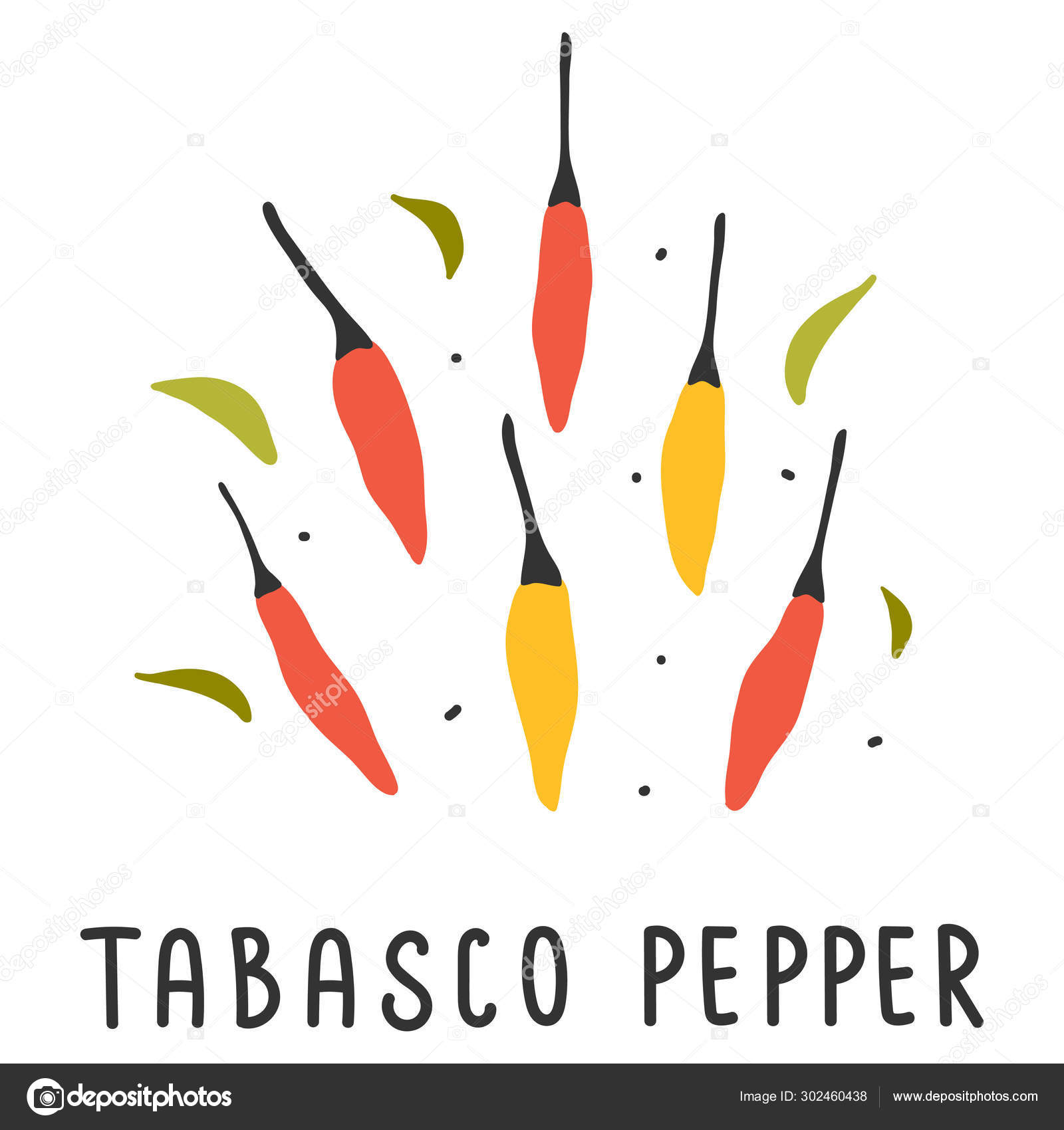 Handdrawn drawing of tabasco pepper sort Stock Vector Image by ©mnbx ...