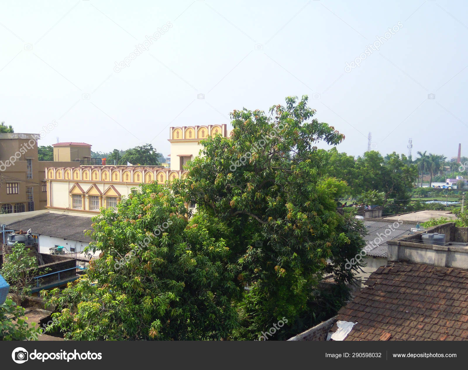 Peep Mango Tree Medicinal Tree Called Neem Tree Place Full — Stock ...