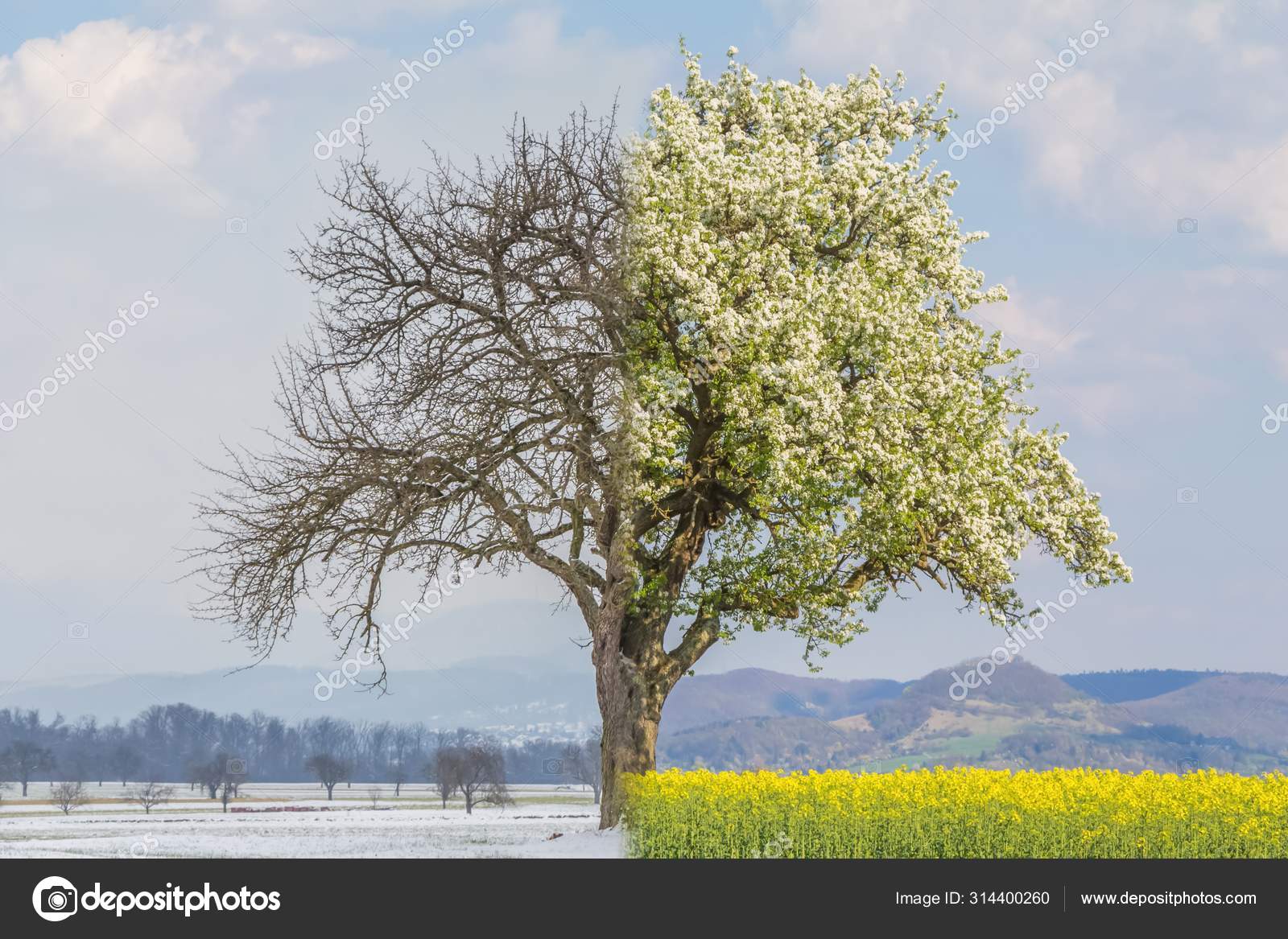 Climate change transition winter to spring summer time over year Stock ...