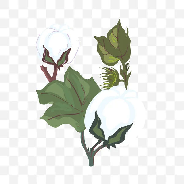 100 wool Vector Art Stock Images | Depositphotos