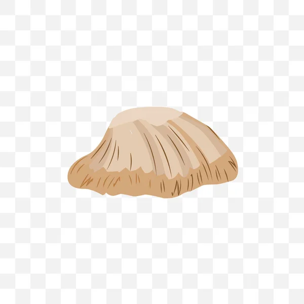 Pecten shell Vector Art Stock Images | Depositphotos
