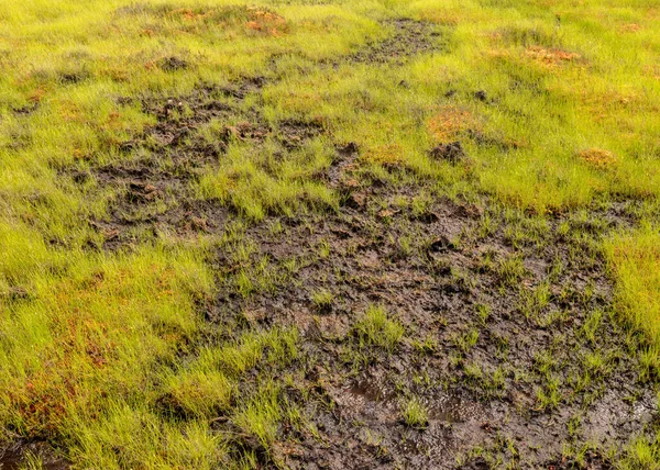 And peat soil living basin Stock Photos, Royalty Free And peat soil ...