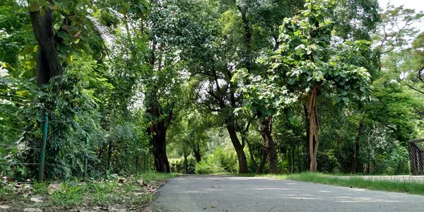 Peshawar pakistan Stock Photos, Royalty Free Peshawar pakistan Images ...