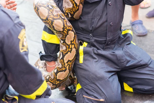 Boy with snake Stock Photos, Royalty Free Boy with snake Images ...