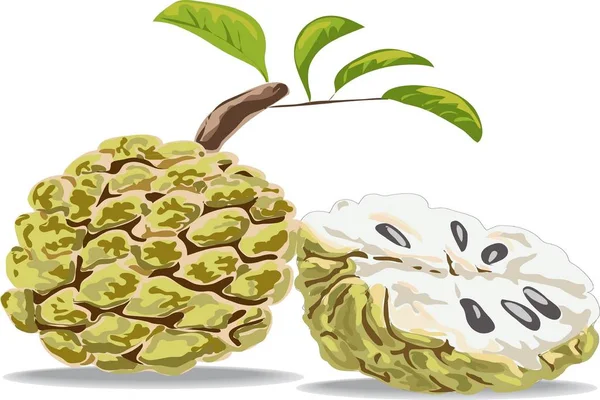 100,000 설탕 사과 Vector Images | Depositphotos