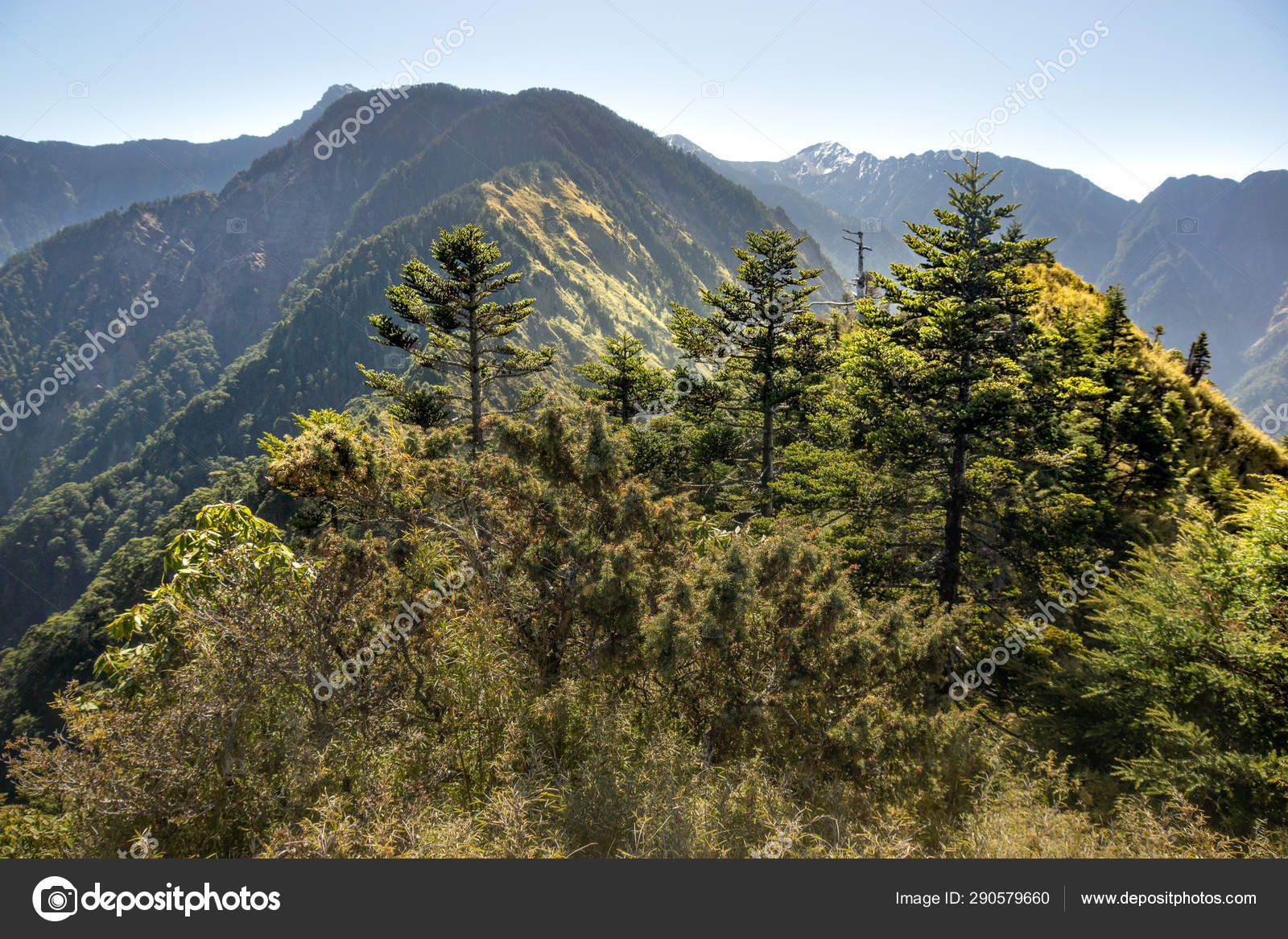 Yushan National Park