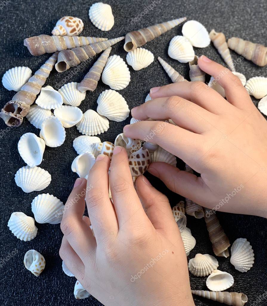 Conchas marinas en las manos. Las conchas de mar al niño en las manos. 2024
