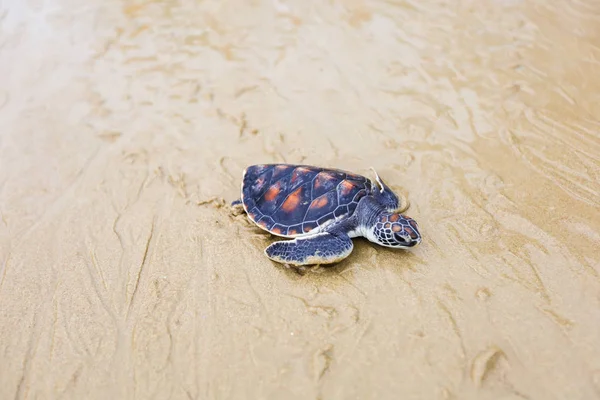 Conserving — Stock Photo © AEyZRiO #278294684