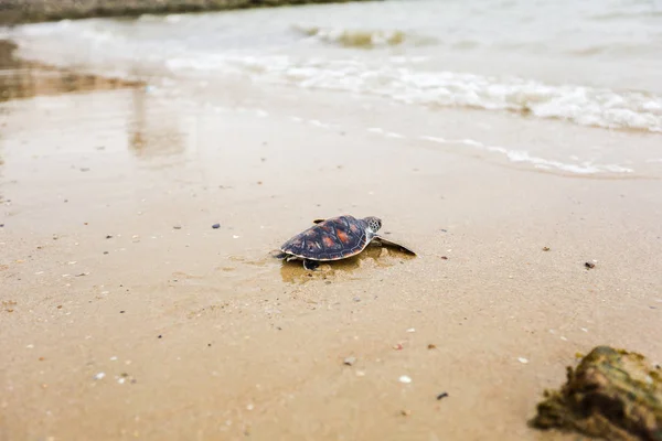 Conserving — Stock Photo © AEyZRiO #278294684