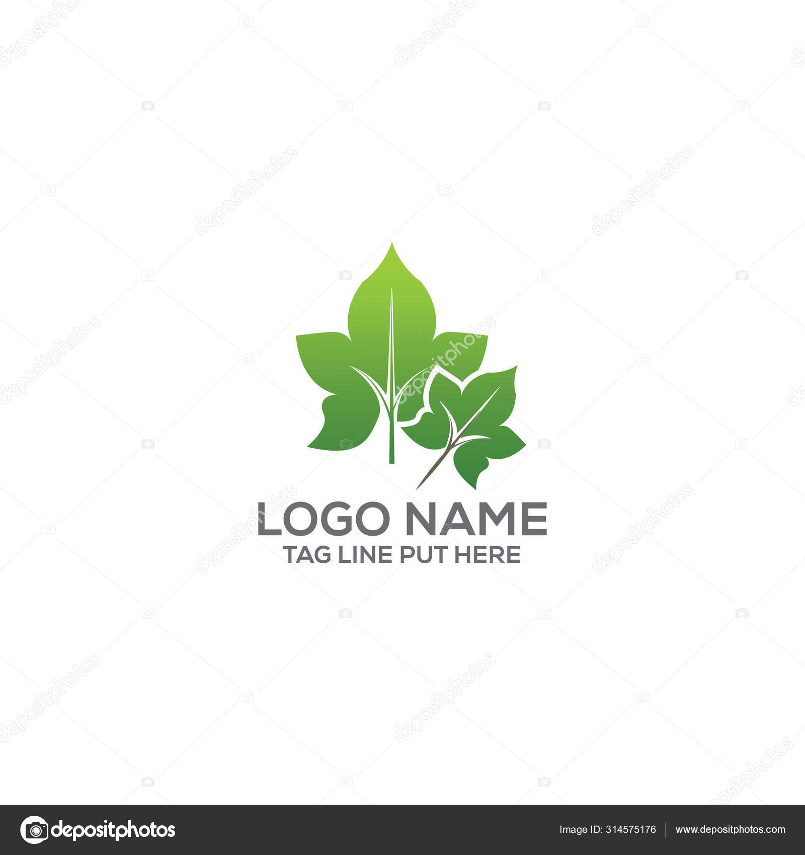 Ivy Leaf Logo