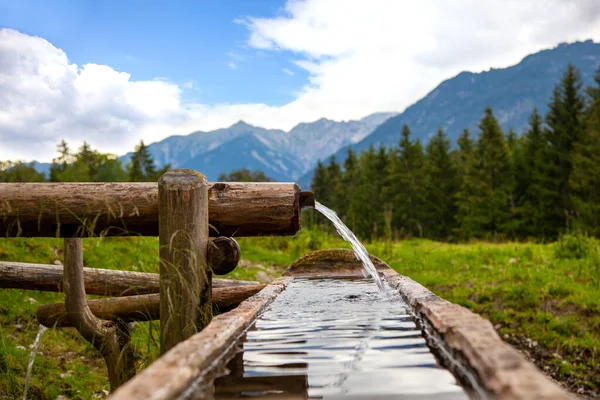 Natural tree trunk fountain. Well and Water trough made out of tree ...