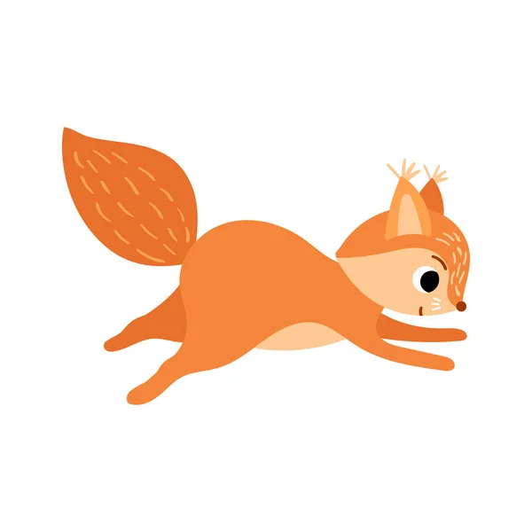 227 Running squirrel Stock Illustrations | Depositphotos