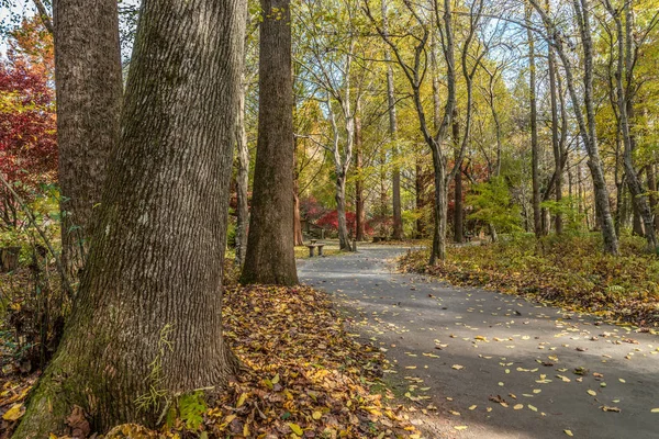 Backgrounds walking trails Stock Photos, Royalty Free Backgrounds ...