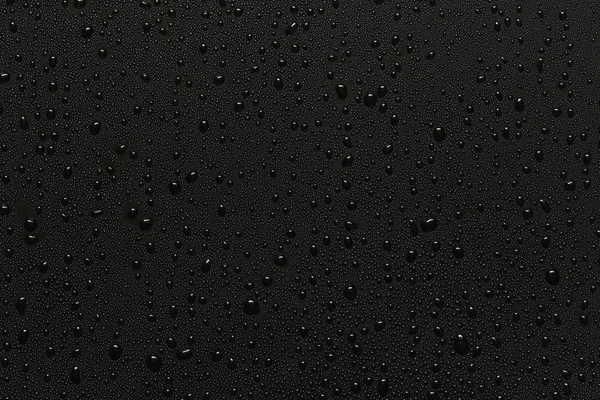 Black Water Drops Wallpaper