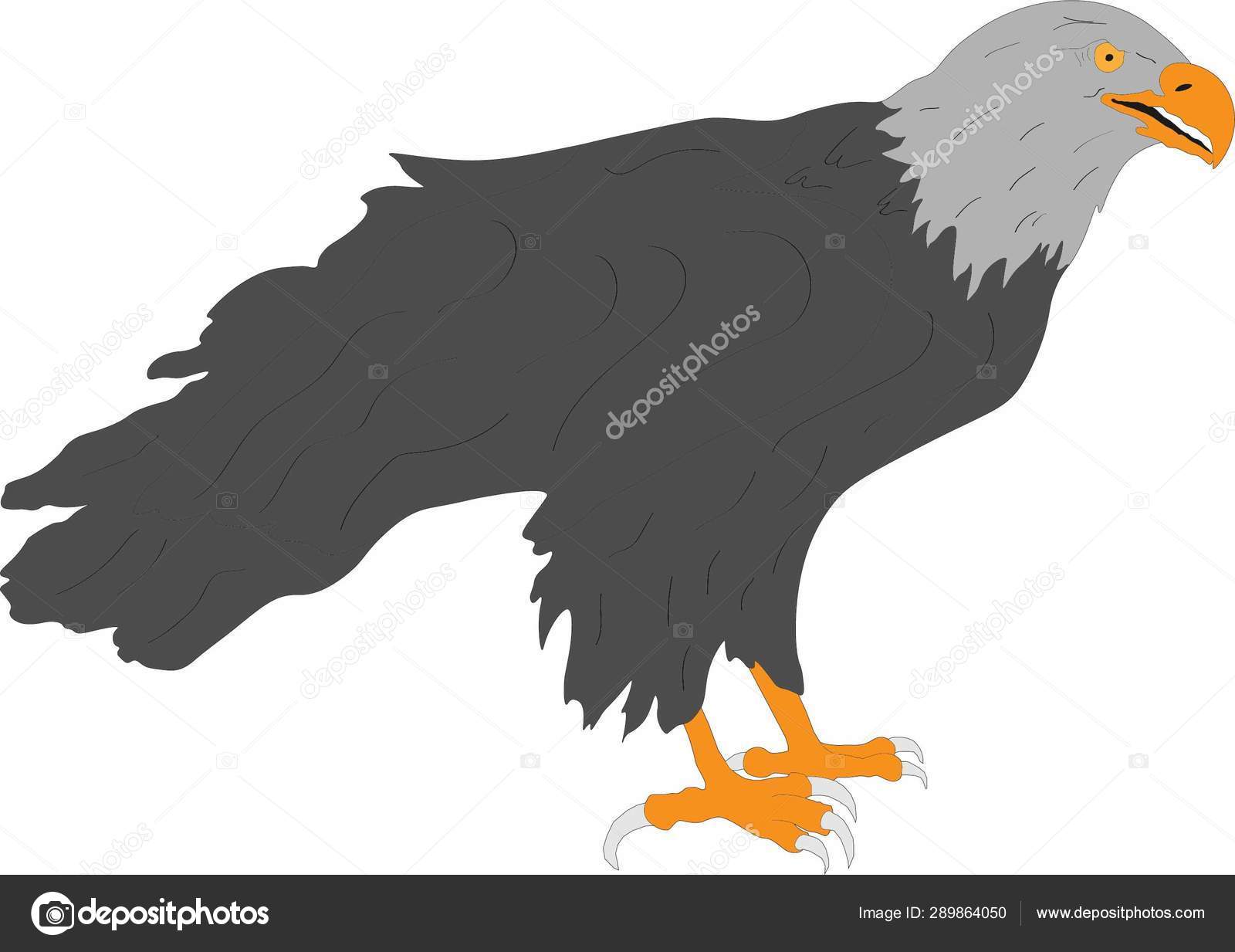 Squaw Clipart Indian