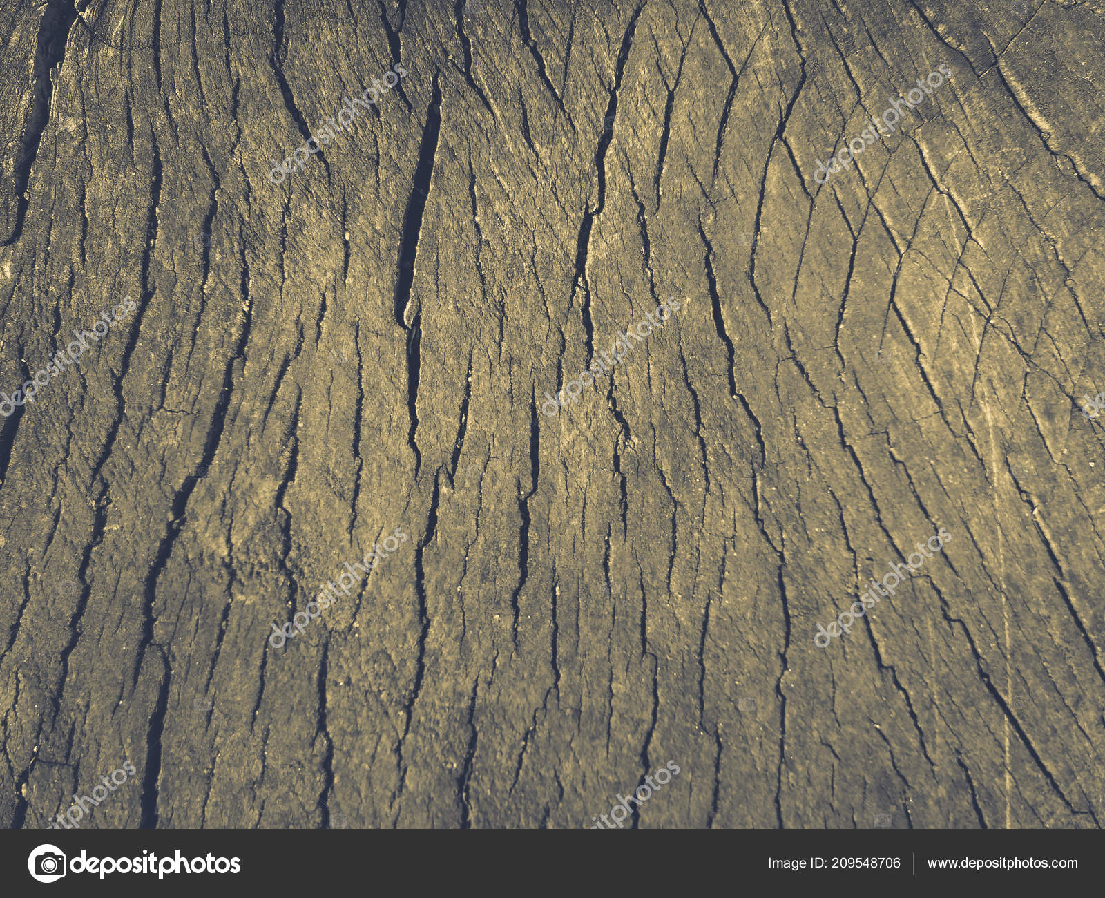 Cut Wood Texture Decoration Stock Photo by ©aallm 209548706